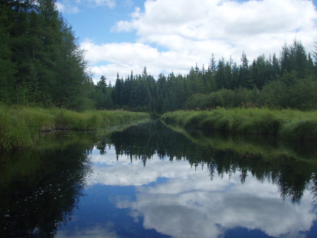 Canot et kayak - Municipalité de Laforce