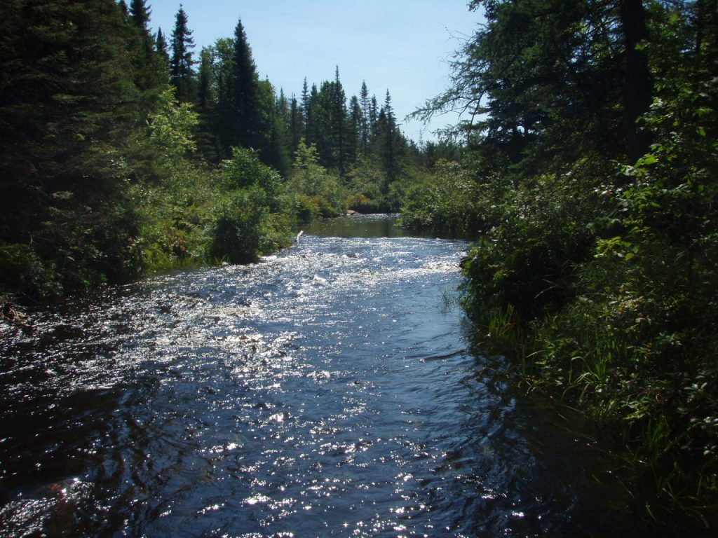 Canot et kayak - Municipalité de Laforce