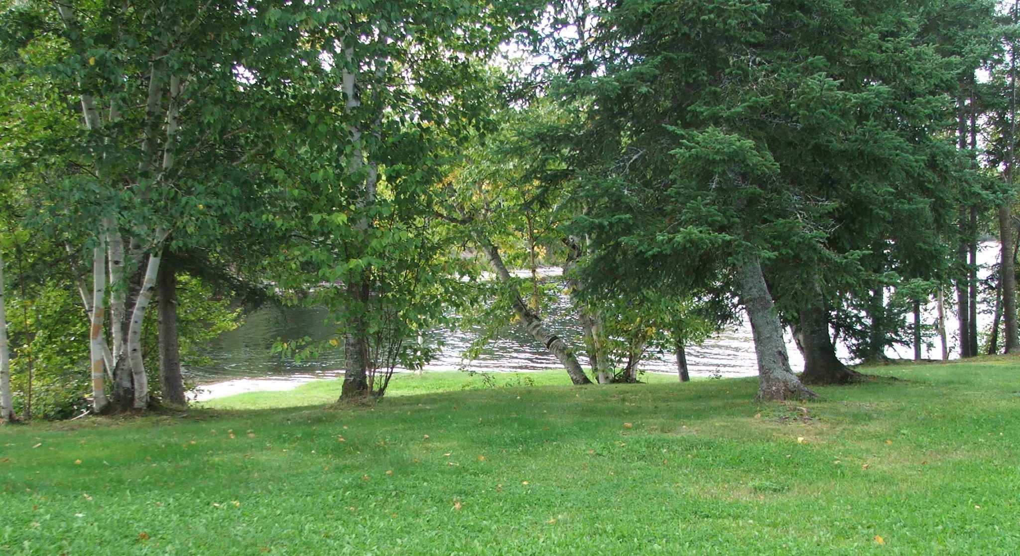 Le camping - Municipalité de Laforce